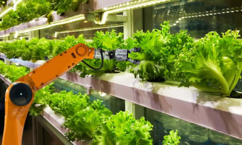 How Does Carrot Define AgTech, AgriTech or Agricultural Technology?